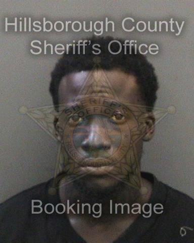 KRISTOPHER M WILLIAMS of TAMPA booked for