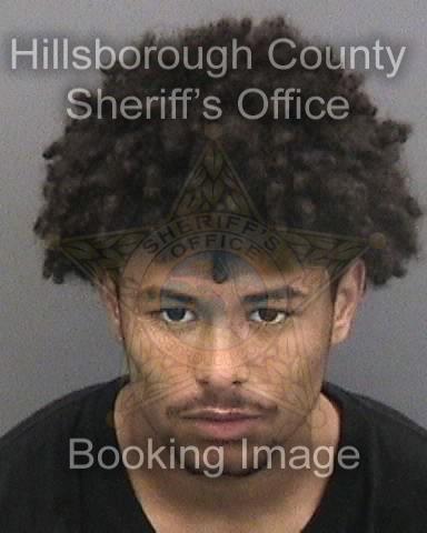 LAWRENCE WILLIAM GINES of DOVER booked for