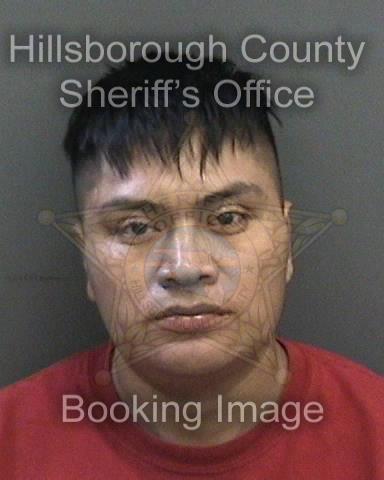 REMIGIO JIMENEZGONZALEZ of TAMPA booked for