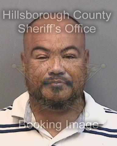 ROBERTO JR SILVA of WIMAUMA booked for
