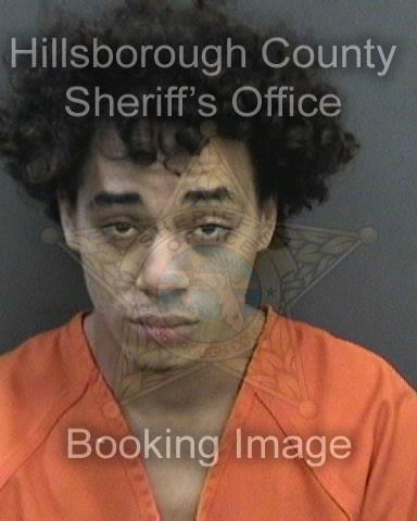 SHAWN MICHAEL TRENKER of VALRICO booked for