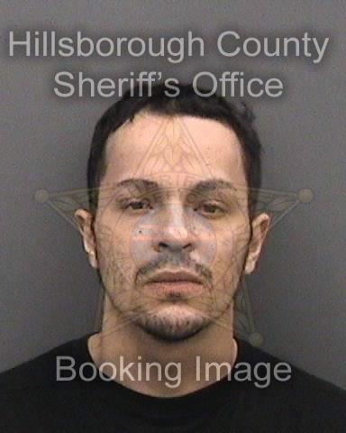 STEVEN CRUZ of TAMPA booked for