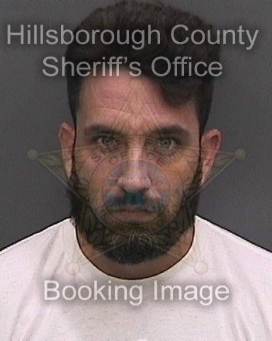 WILLIAM KENNETH LEWIS of TAMPA booked for