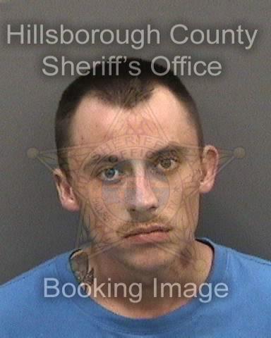 AARON JAMES MONTGOMERY of SEFFNER booked for