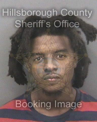 ANTHONY LEWIS JR MCCALLUM of TAMPA booked for