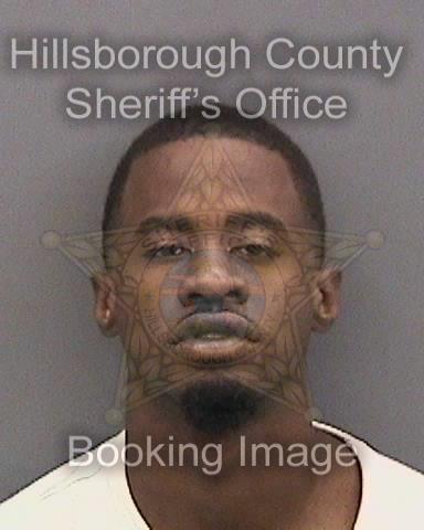 ANTHONY RAHMING of TAMPA booked for