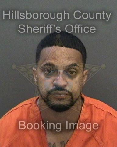 BRYANT LEE FONSECA MARTINS of VALRICO booked for