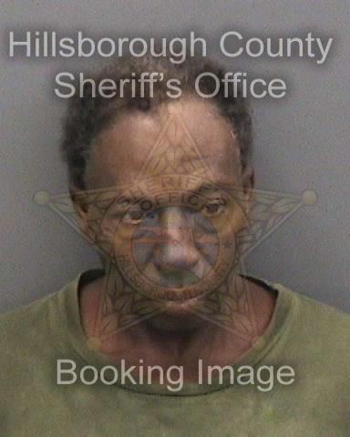 CEDRIC JOHNSON of TAMPA booked for