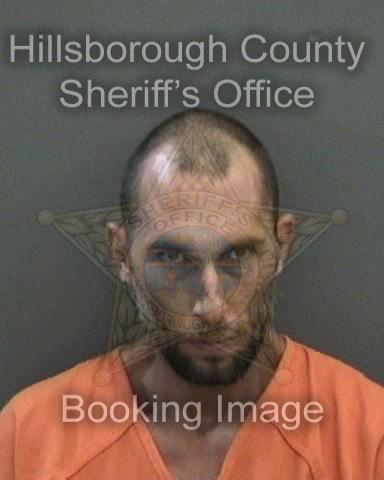 CHARLES HART of TAMPA booked for