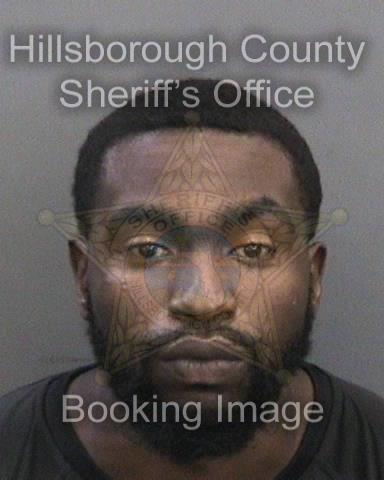 DONALD ROBERT SMITH of RIVERVIEW booked for
