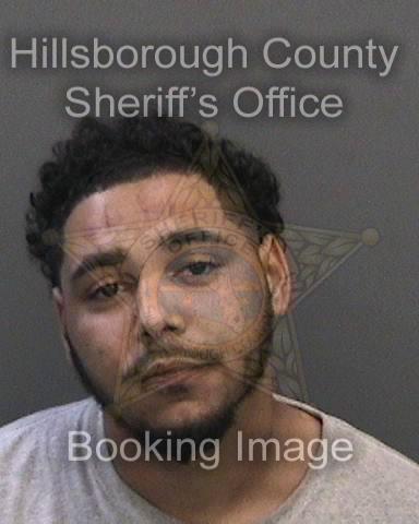 ELIJAH MALIK SILVA EL-SHABAZZ of TAMPA booked for