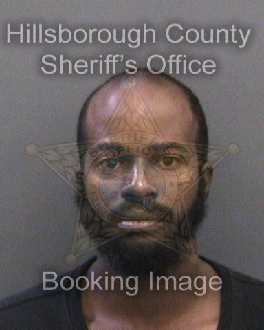 ISAIAH DEVON EDWARDS of VALRICO booked for