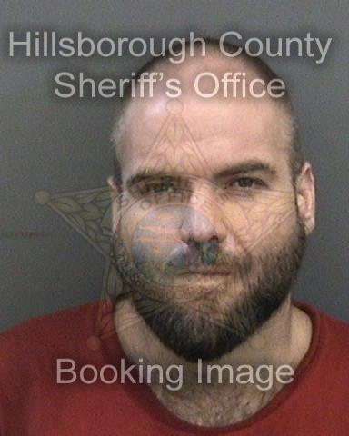 JOHNNY LEE JR BRONSON of SEFFNER booked for