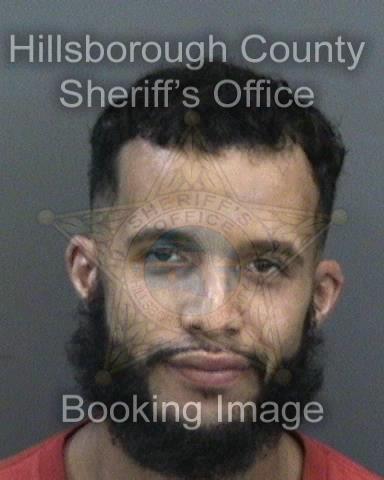JOSHUA IRIZARRY of TAMPA booked for