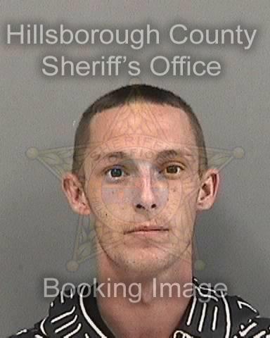 JOSHUA LEE DYLAN PERKINS of SEFFNER booked for