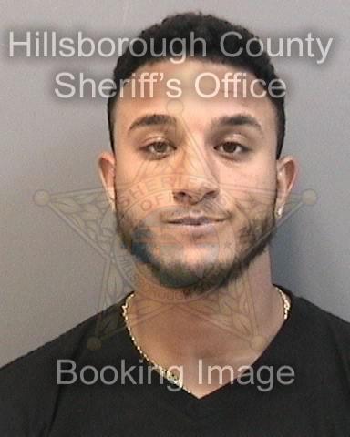 MARK RAOUF GUIRGUIS of CLEARWATER booked for