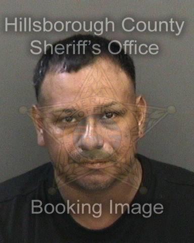 MICHAEL AGUILAR of RUSKIN booked for