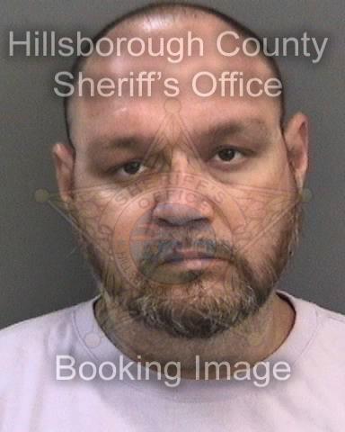 MICHAEL WAYNE PURCELL of TAMPA booked for