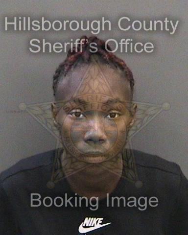 NAJEE D WILEY of TAMPA booked for
