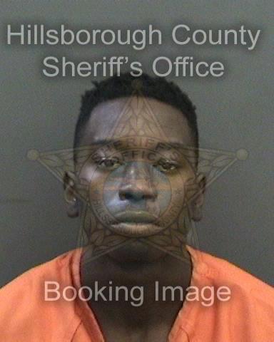 ROSHAWN DONELL MITCHELL of TAMPA booked for