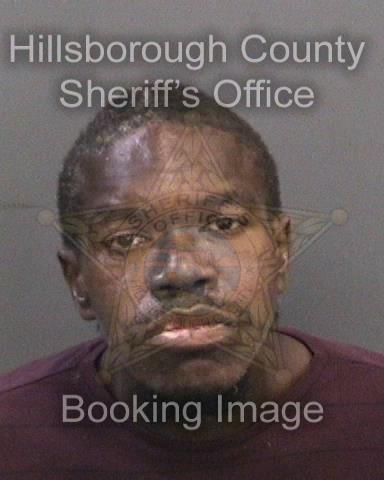 RUPERT ALLEN STUBBS CAREY of TAMPA booked for