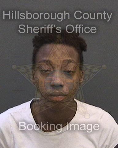 SHANAEJA NICKOLE JONES of TAMPA booked for