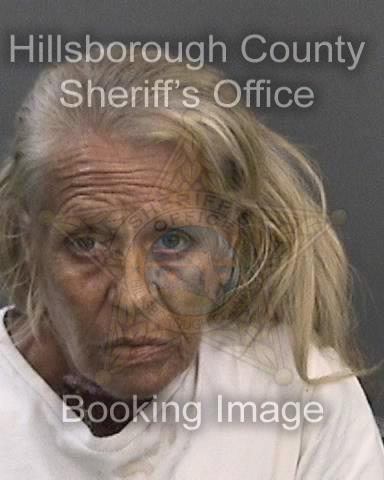 SHERRY LYNN SCHMOYER of TAMPA booked for