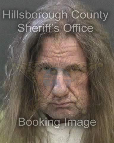 TIMOTHY DAVID WHITMER of TAMPA booked for