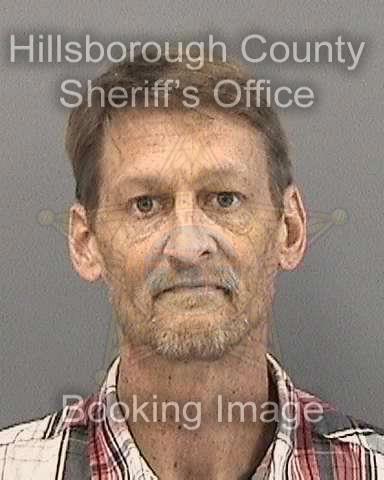 WAYNE EDWARD JR RIDGLEY of VALRICO booked for