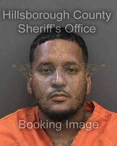 ANTHONY WILLIAN PATINO ROLDAN of TAMPA booked for