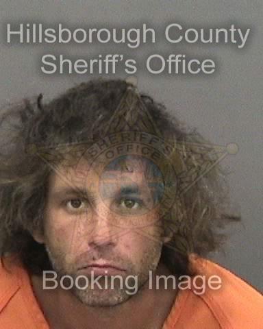 BLAKE VINCENT ARTHURS of TAMPA booked for