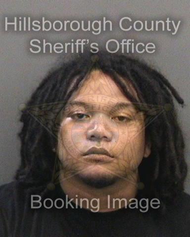 DARRYL S MURRAY of TAMPA booked for