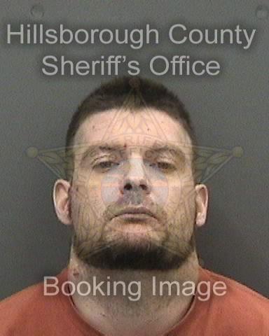 DAVID ALLEN GASKINS of RIVERVIEW booked for