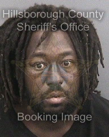 DEMOND RENARD LEVISON of TAMPA booked for