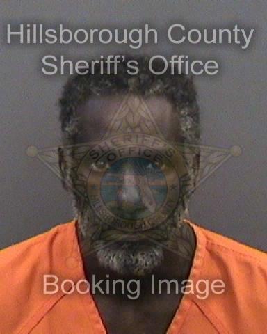 DEMPSEY L JR REED of TAMPA booked for