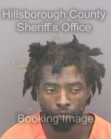 EARL JEROME JR WILLIAMS of TAMPA booked for