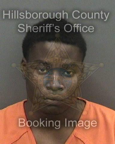 JAMON D JR WILLIAMS of TAMPA booked for