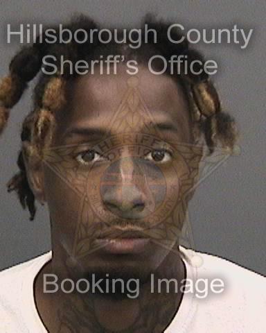 JERALD ANTHONY JENKINS of TAMPA booked for