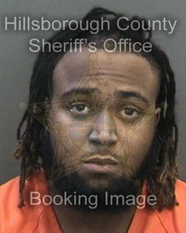 JONAH MICHAEL JOHNSON of TAMPA booked for