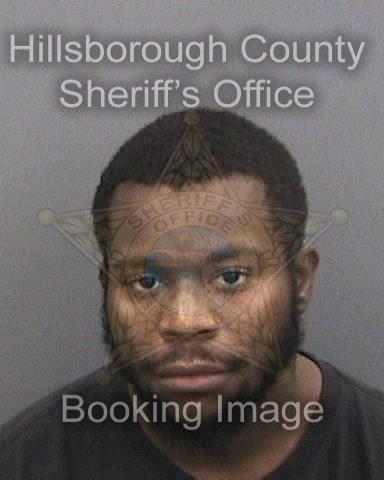 LEO JEFFREY III DEMPSEY of ZEPHYRHILLS booked for
