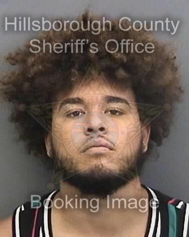 LUIS ALBERTO COLON PABON of TAMPA booked for