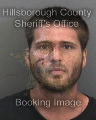 MICHAEL ANTHONY FULLER of TAMPA booked for