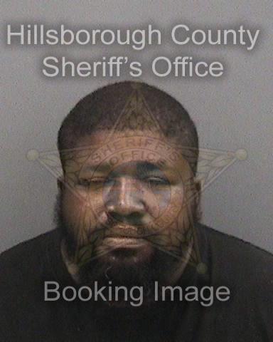 MICHAEL EUGENE MCCRAY of TAMPA booked for