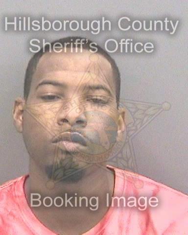 Hillsborough County Who's in Jail - HCSO Arrest Inquiry Search