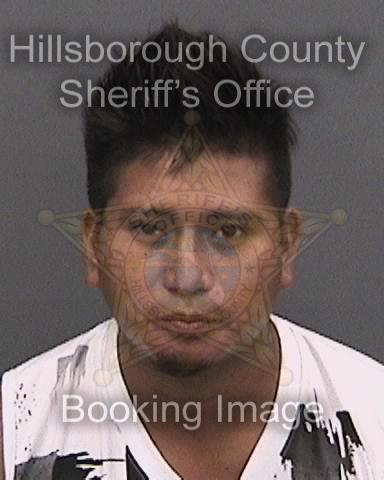 TEOFILO PEREZ DE LA CRUZ of TAMPA booked for