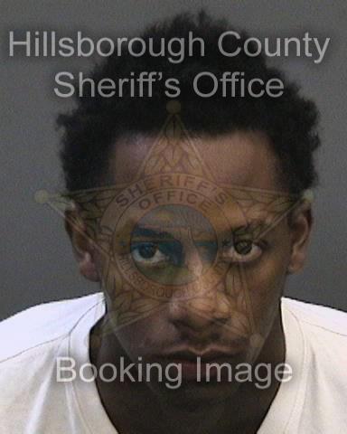 TYRONE JAMES ELLISON of TAMPA booked for