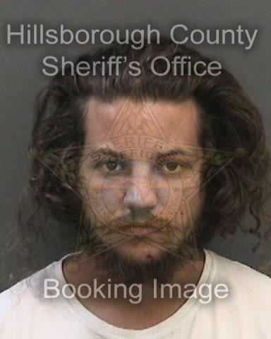 AUSTIN EDWARD NIX of LITHIA booked for