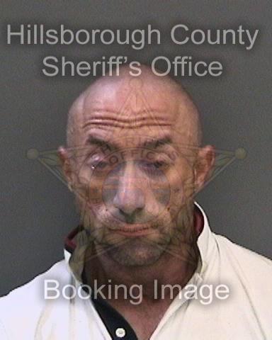 BRYAN PETER WELLS of CLEARWATER booked for