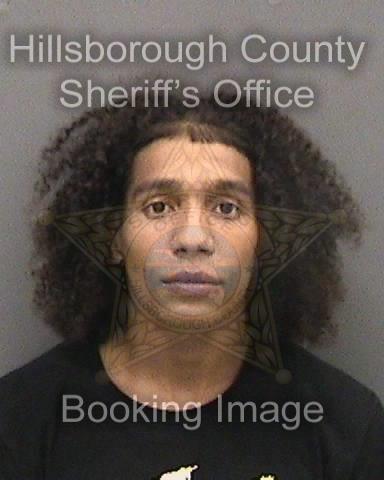 BRYANT ALEXI BERROA of TAMPA booked for