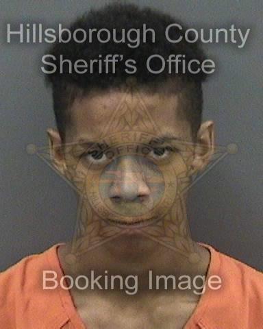CHRISTOPHER DEWAYNE BLUE of TAMPA booked for